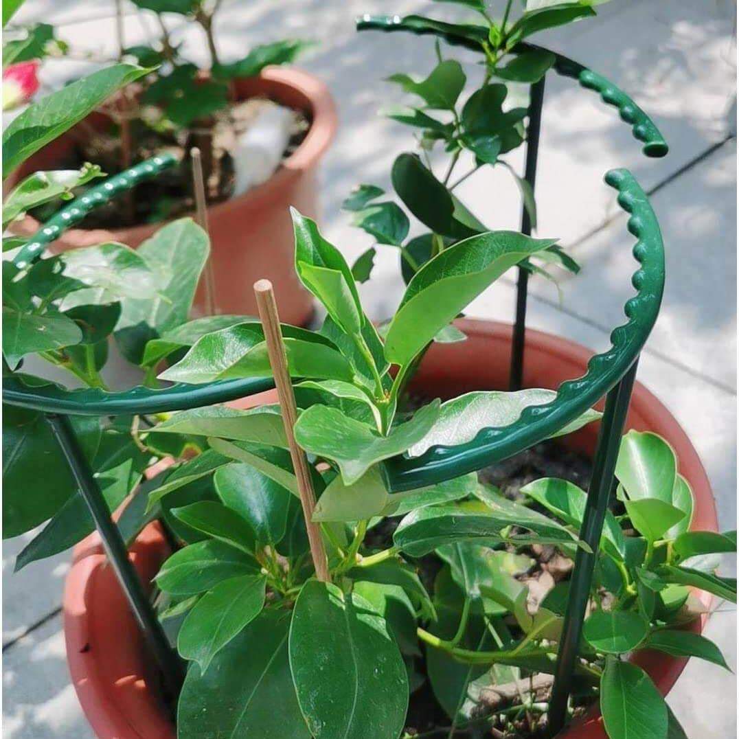 4x Plant supports for potted plants