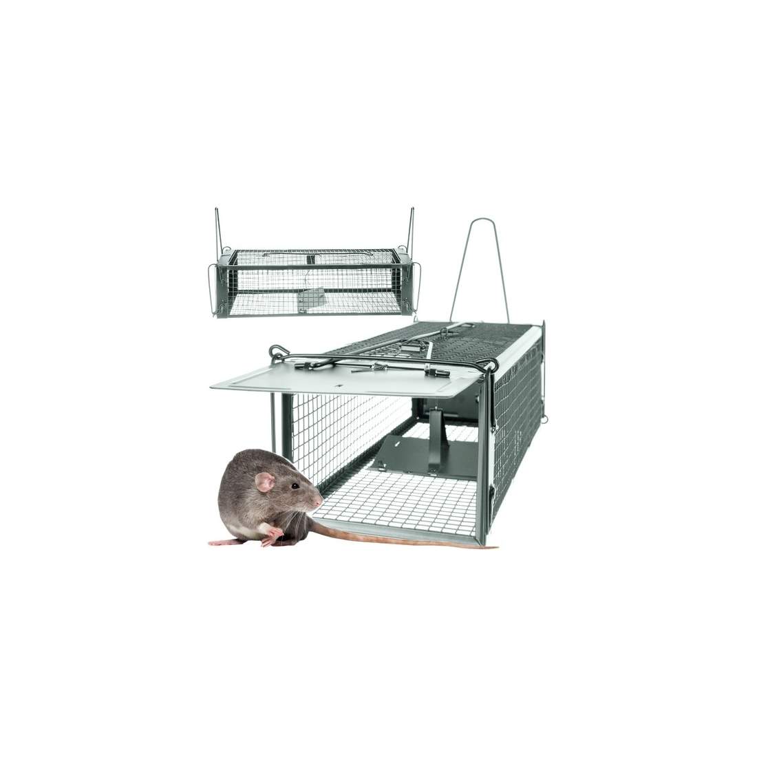 Automatic Rodent Trap in Galvanized Metal