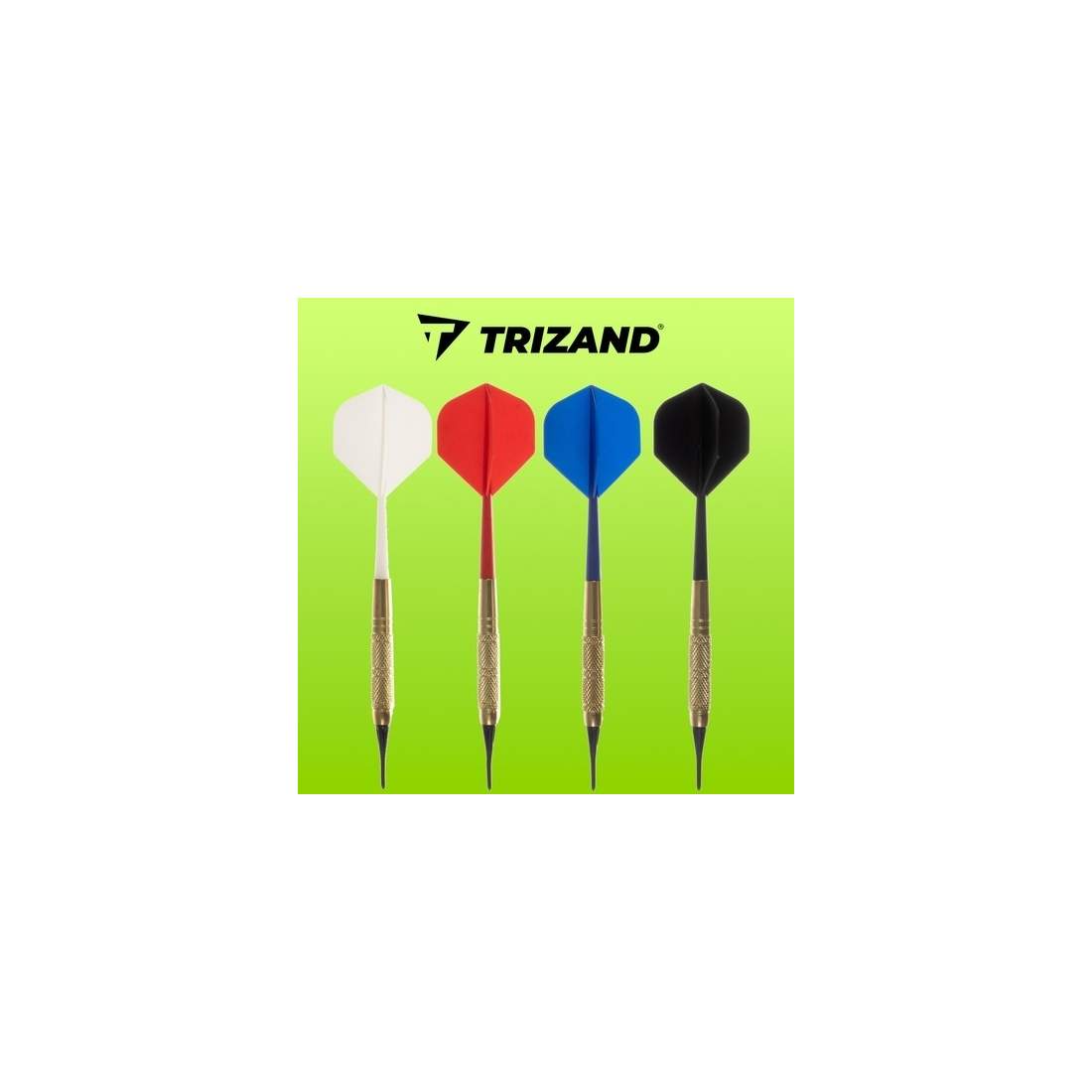 Dartsæt: 12 Dart + 200 tips Begynder