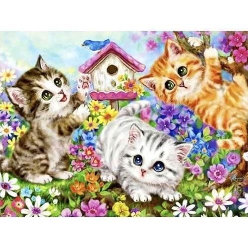 Paint By Numbers Cat - Complete Set for All Ages