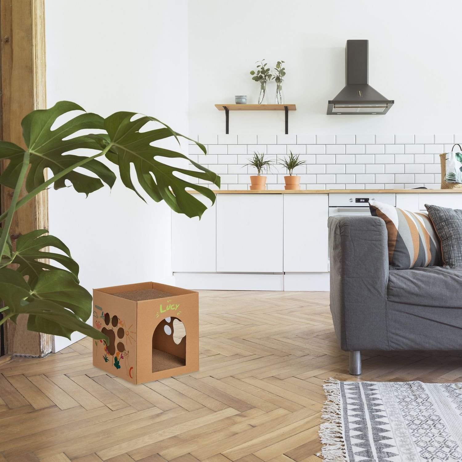 Katthus i kartong med klösbräda