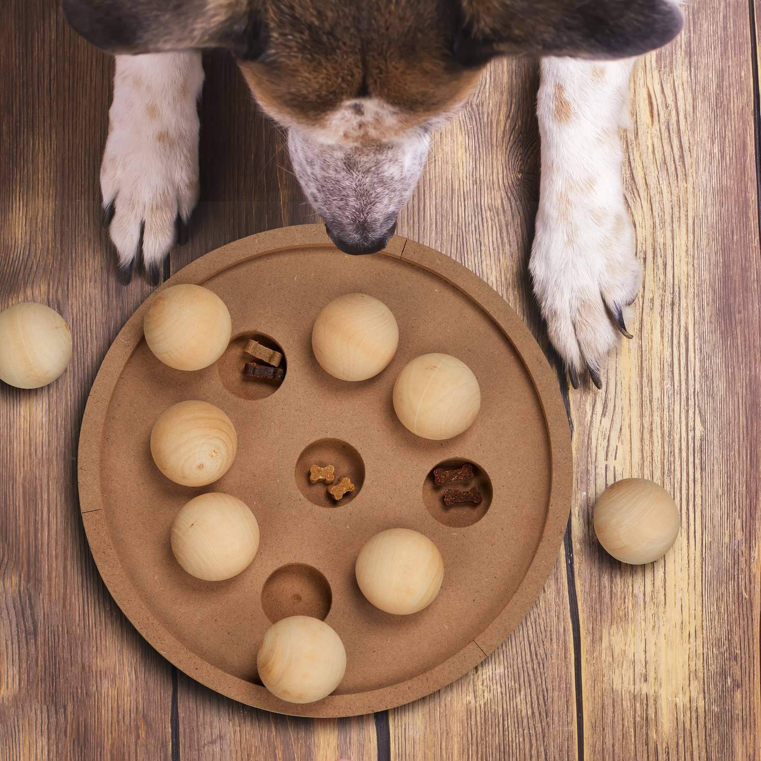 Intelligenta leksaker för hundar och katter