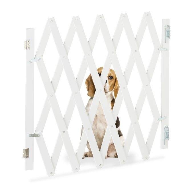 Retractable dog rail in white