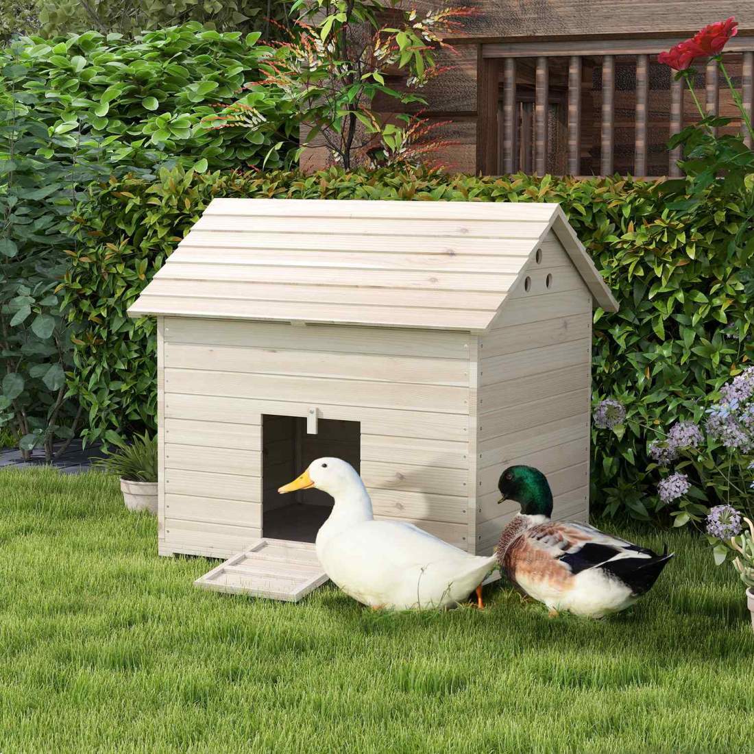 Duck house with hinged tilting roof, poultry house with raised floor ...