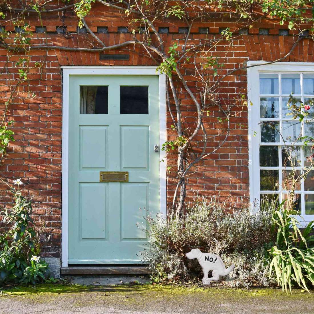 Merkki, että koirat eivät saa kakkaa