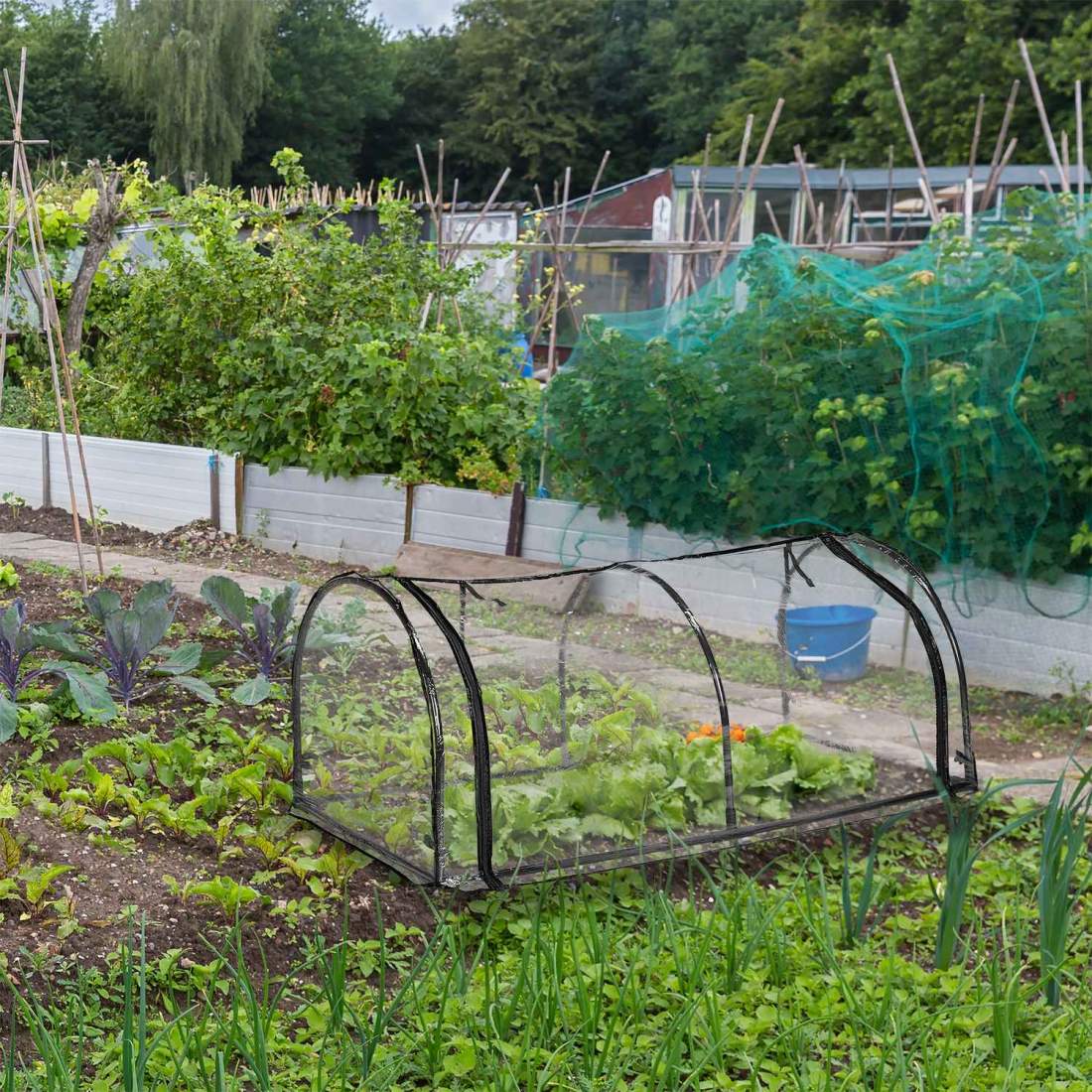 Greenhouse tunnel PVC