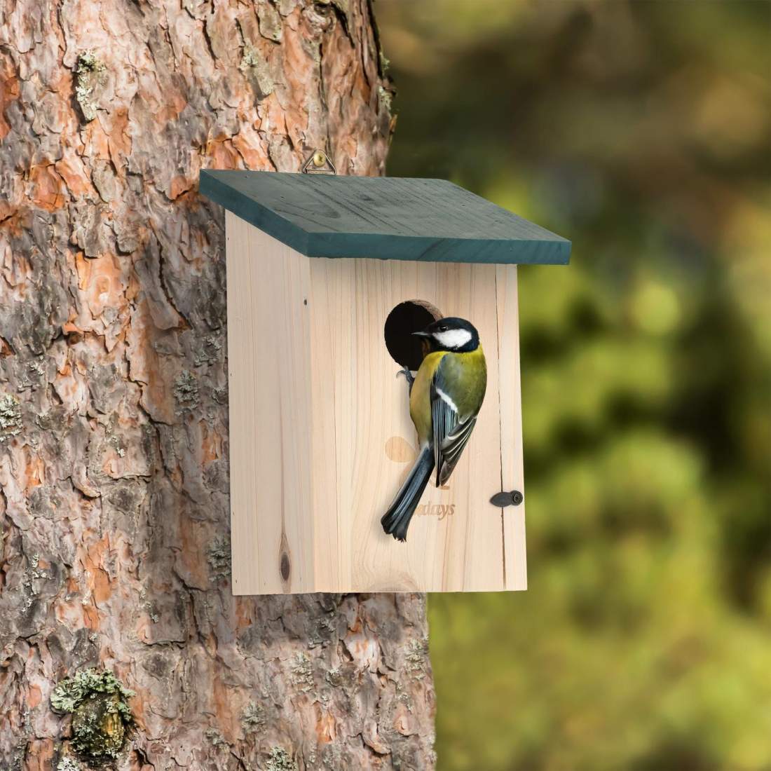 Nesting box for birds