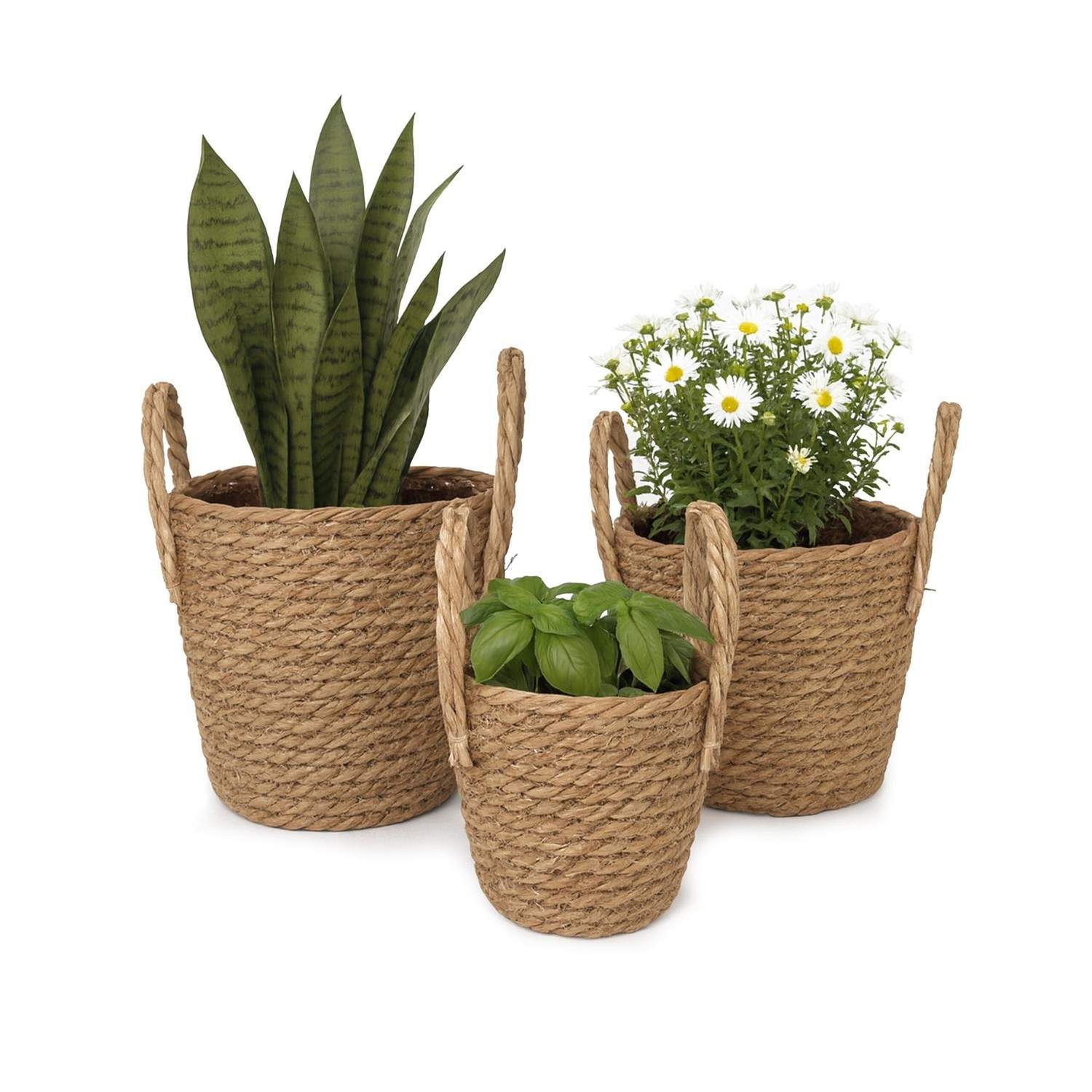 Round Plant Pot Set of 3 – Foil-Lined, Rustic Design