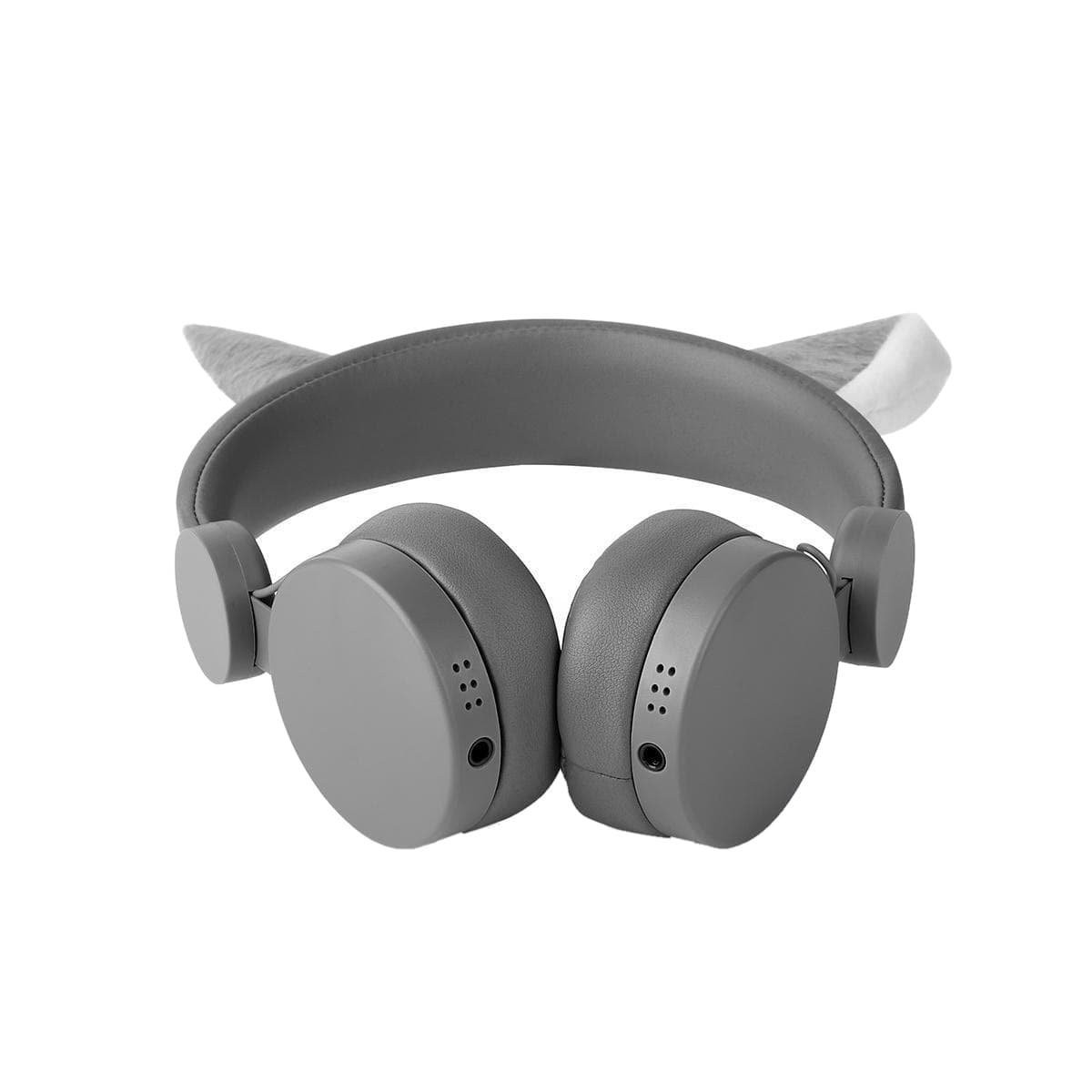 Earphones with Detachable Ears | eStore