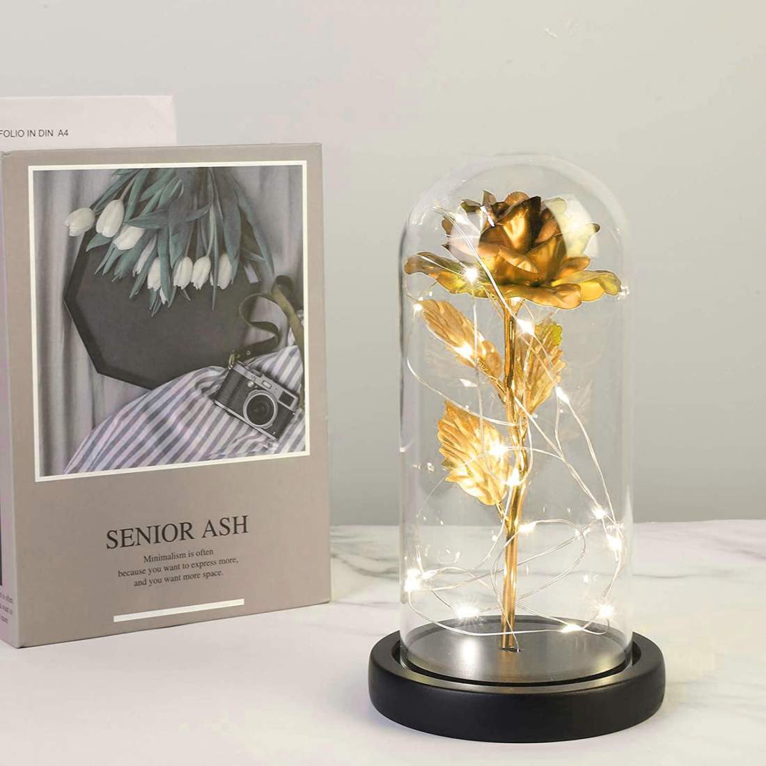 Infinity Rose with string lights - Gold / Black