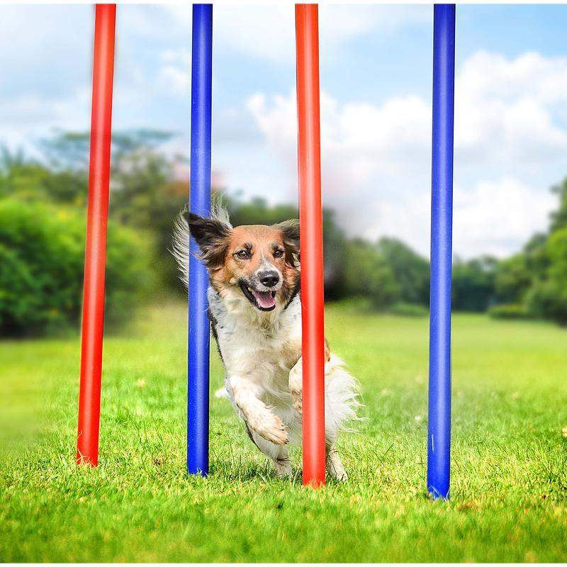 4x Slalom Sticks for Agility