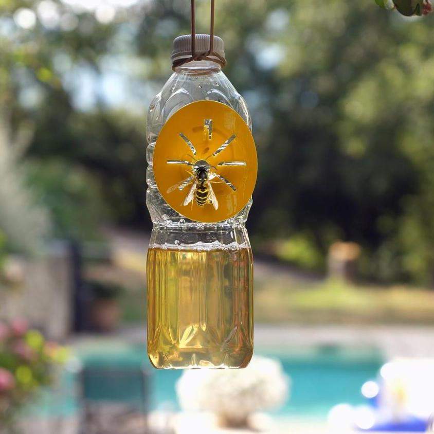 6x Wasp traps for Plastic bottles