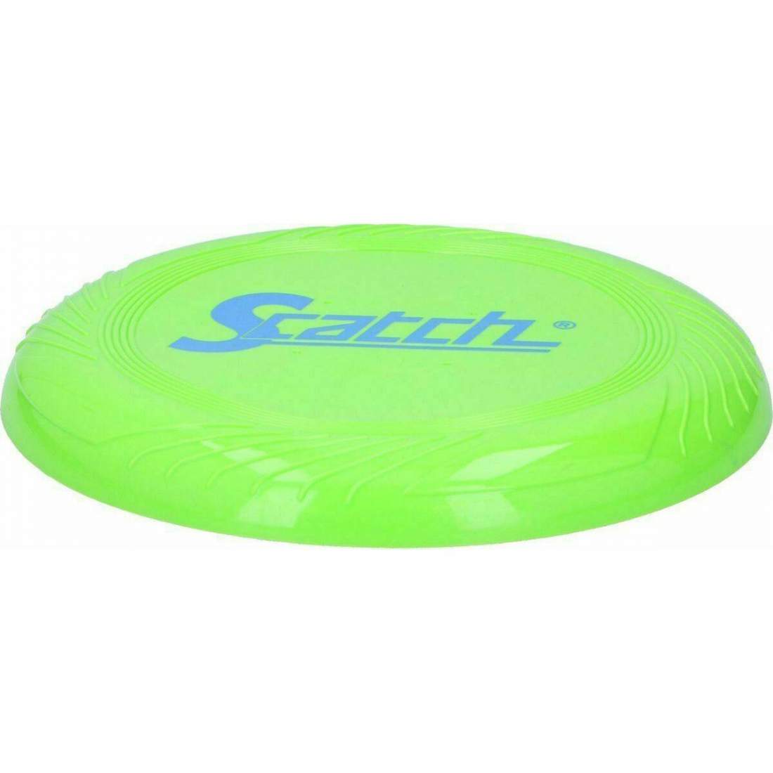 Frisbee Game with Target