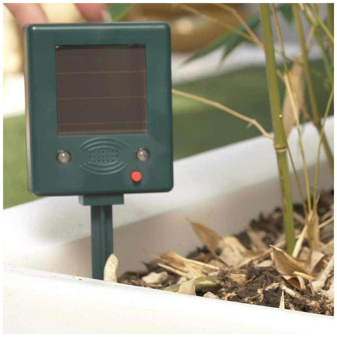 Electronic Scarecrow | eStore