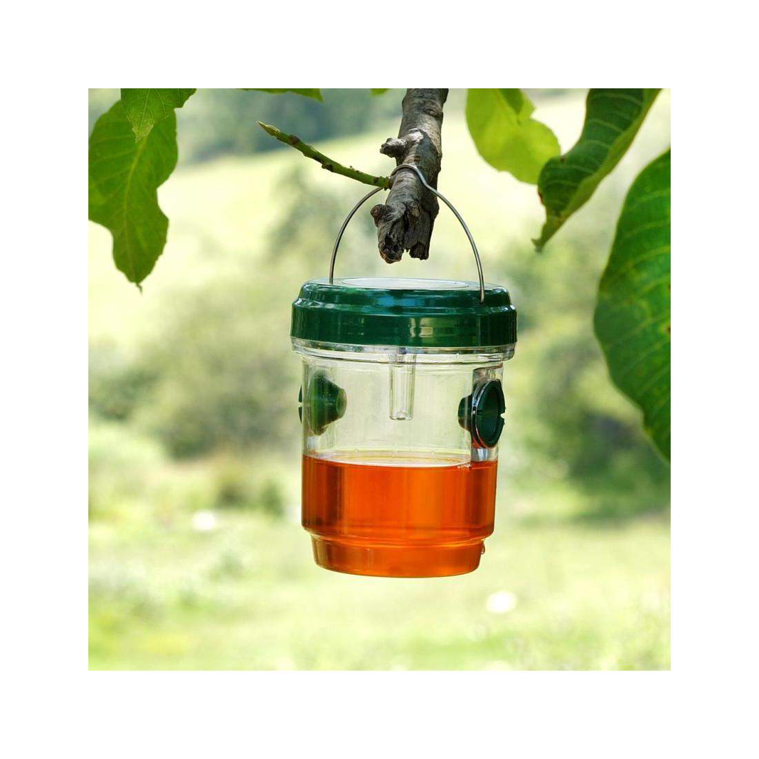 Solar Powered Insect Trap