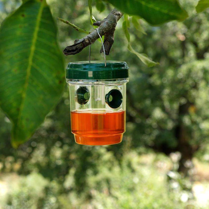 Solar Powered Insect Trap