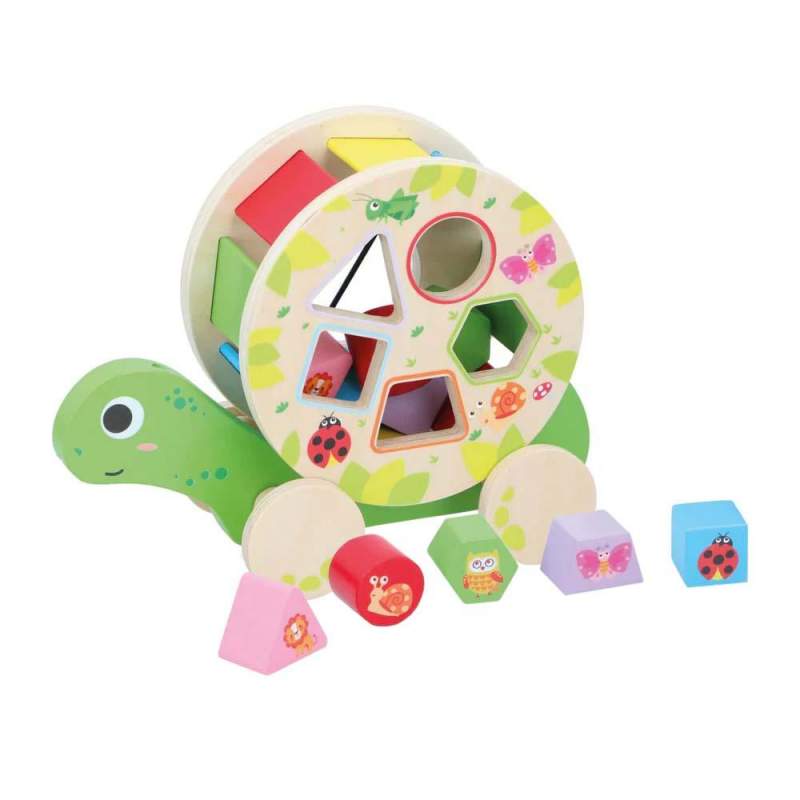 Turtle with Shape Sorting