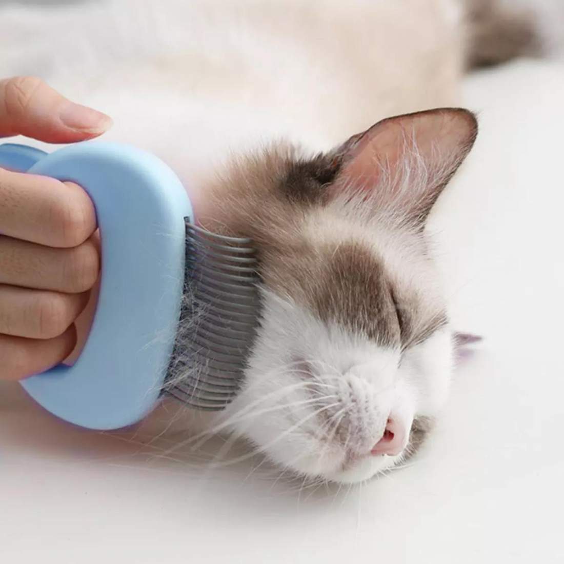 Pet Comb with Cat Design - Blue | eStore